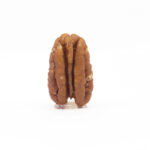 A Full History Of The Pecan | Delicious With A Rich History