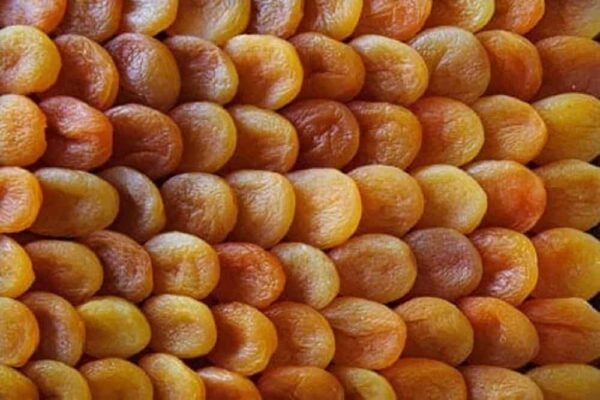 Process Of Drying Apricots | Learn How Bulk Apricots Are Dried