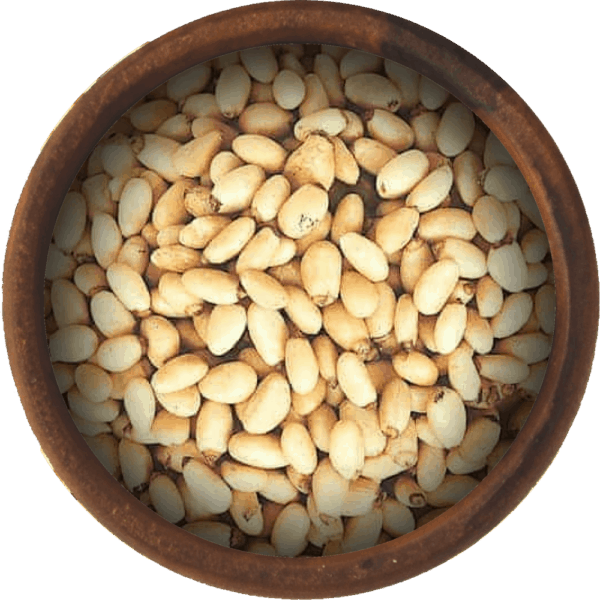 Bulk Raw Peanuts | Wholesale And Fresh Peanuts