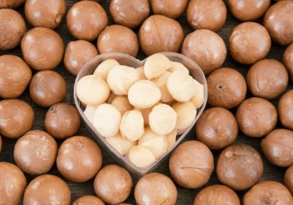 The History of the Macadamia Nut | Discovered in 1857