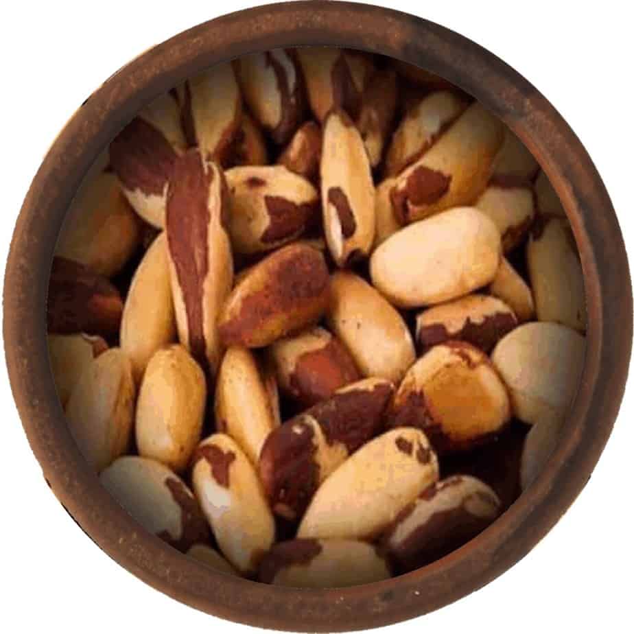 History Of Brazil Nut Production | To Plant, Harvest, And Ship