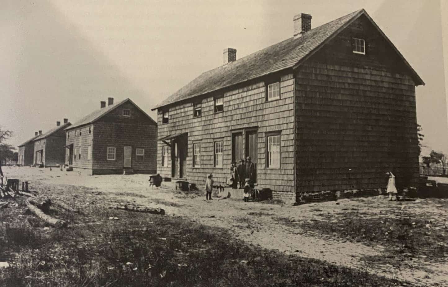 Exploring the Rich History of American Cranberry Farming Industry